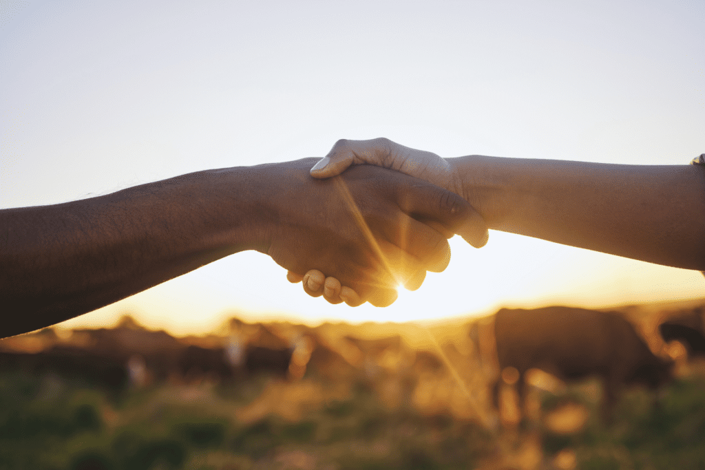 Building trust and authenticity in professional services | Beaton