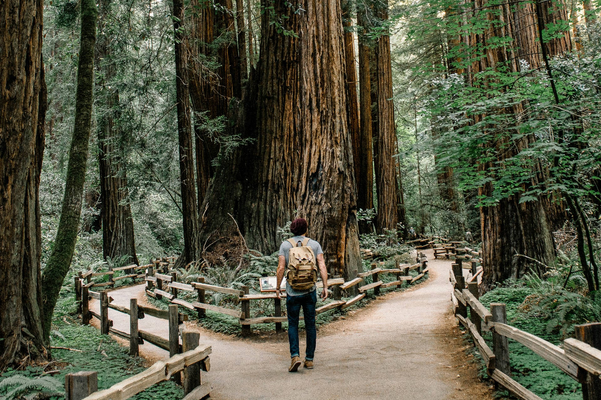 10 Things I Wish I Knew Before I Started My Key Account Management